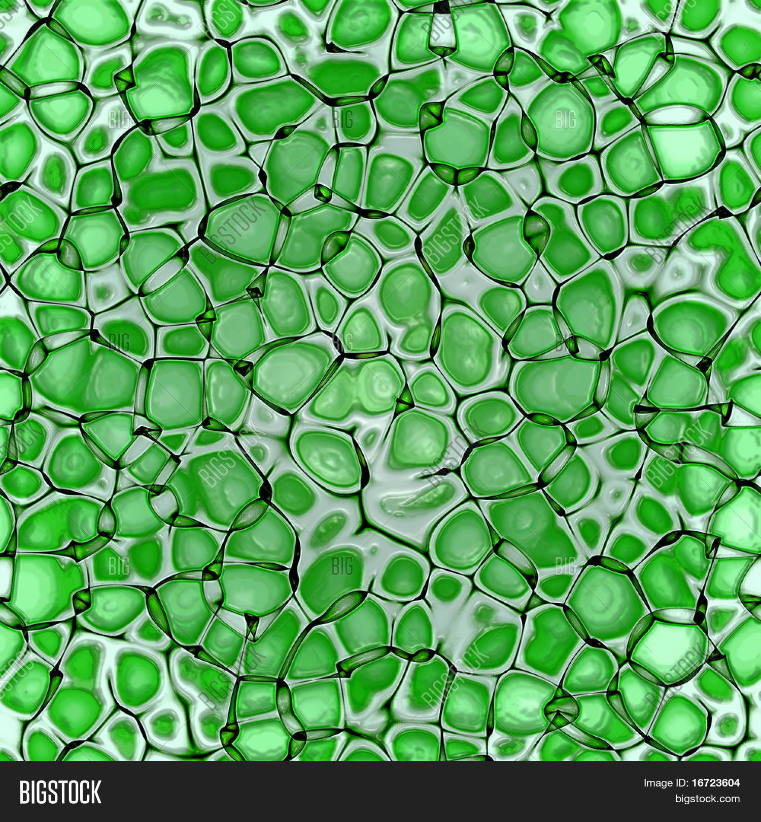 Biology Texture Image & Photo (Free Trial) | Bigstock