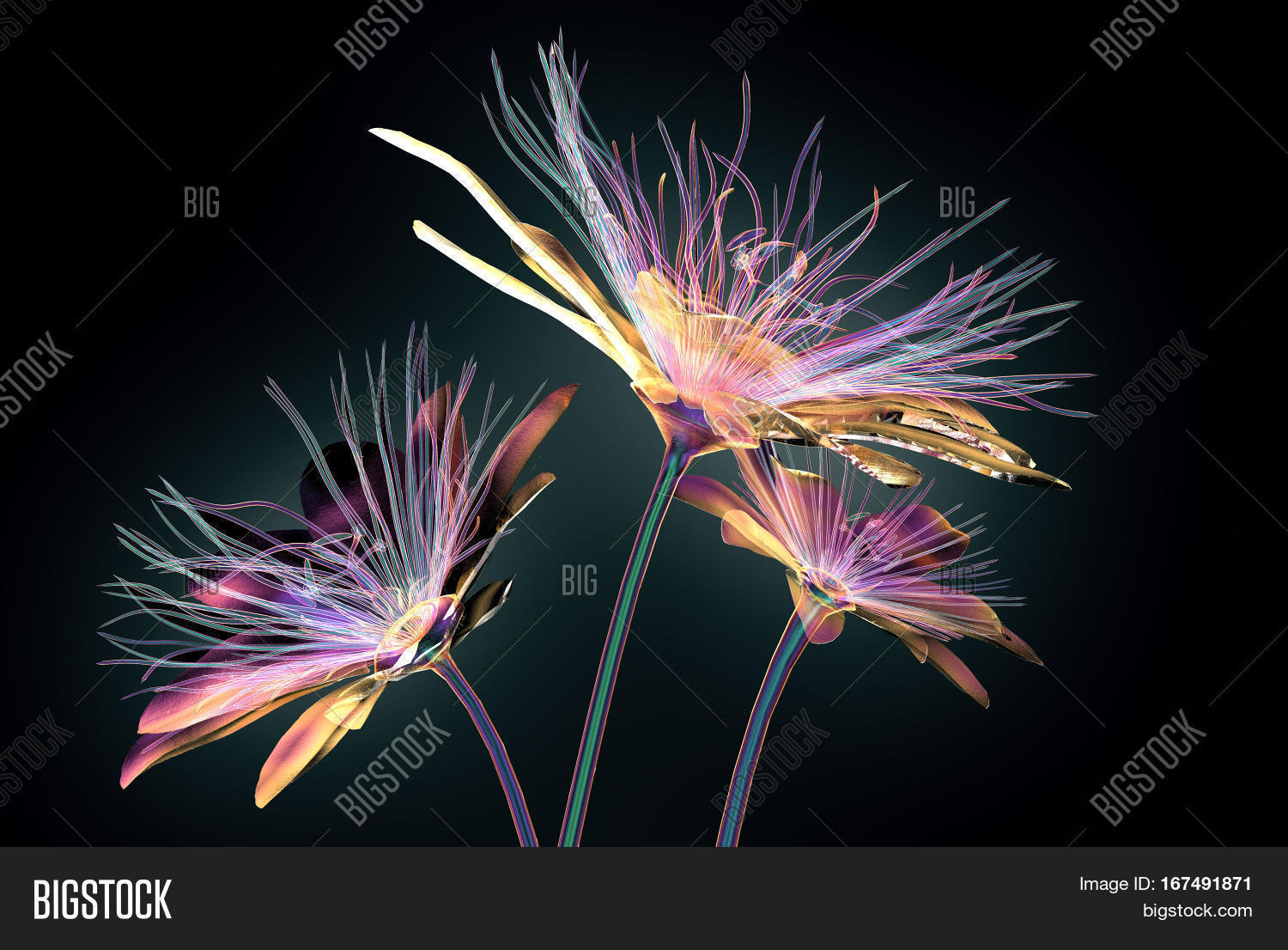 Color Glass Flower Image & Photo (Free Trial) | Bigstock