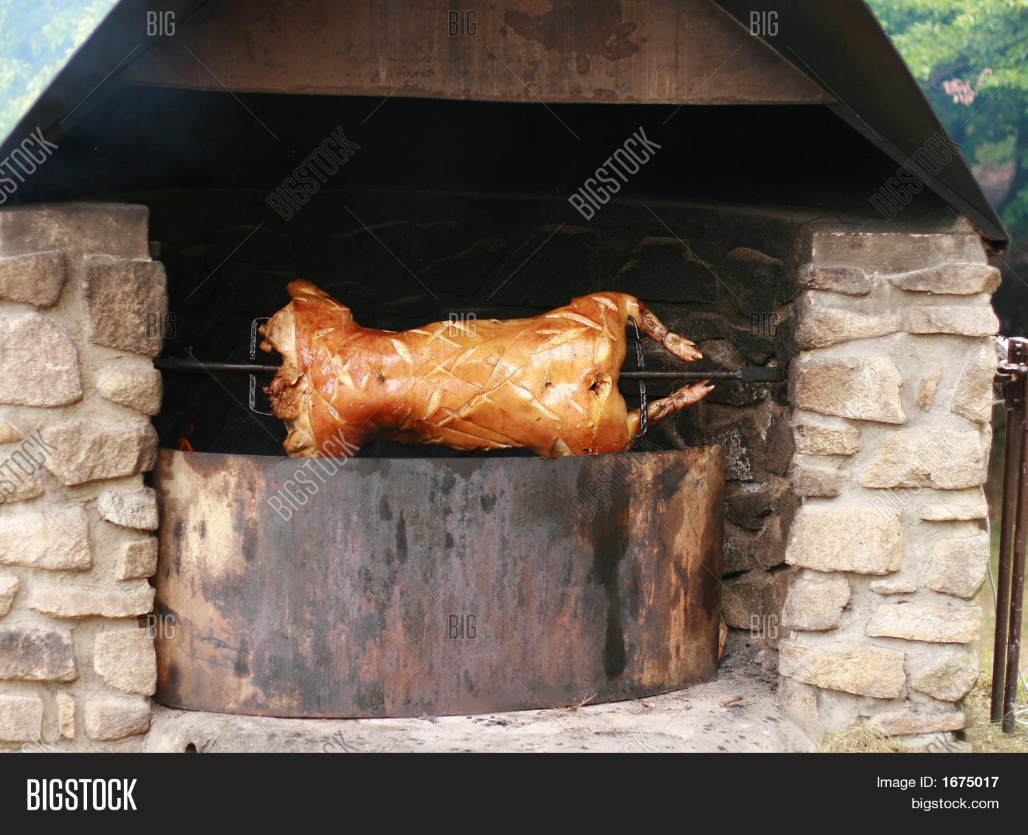 Pig Being Roasted On Image & Photo (Free Trial) | Bigstock