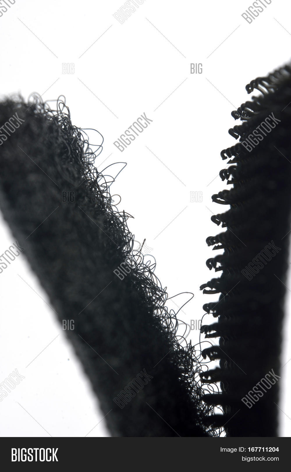 Detail Velcro Isolated Image & Photo (Free Trial) | Bigstock