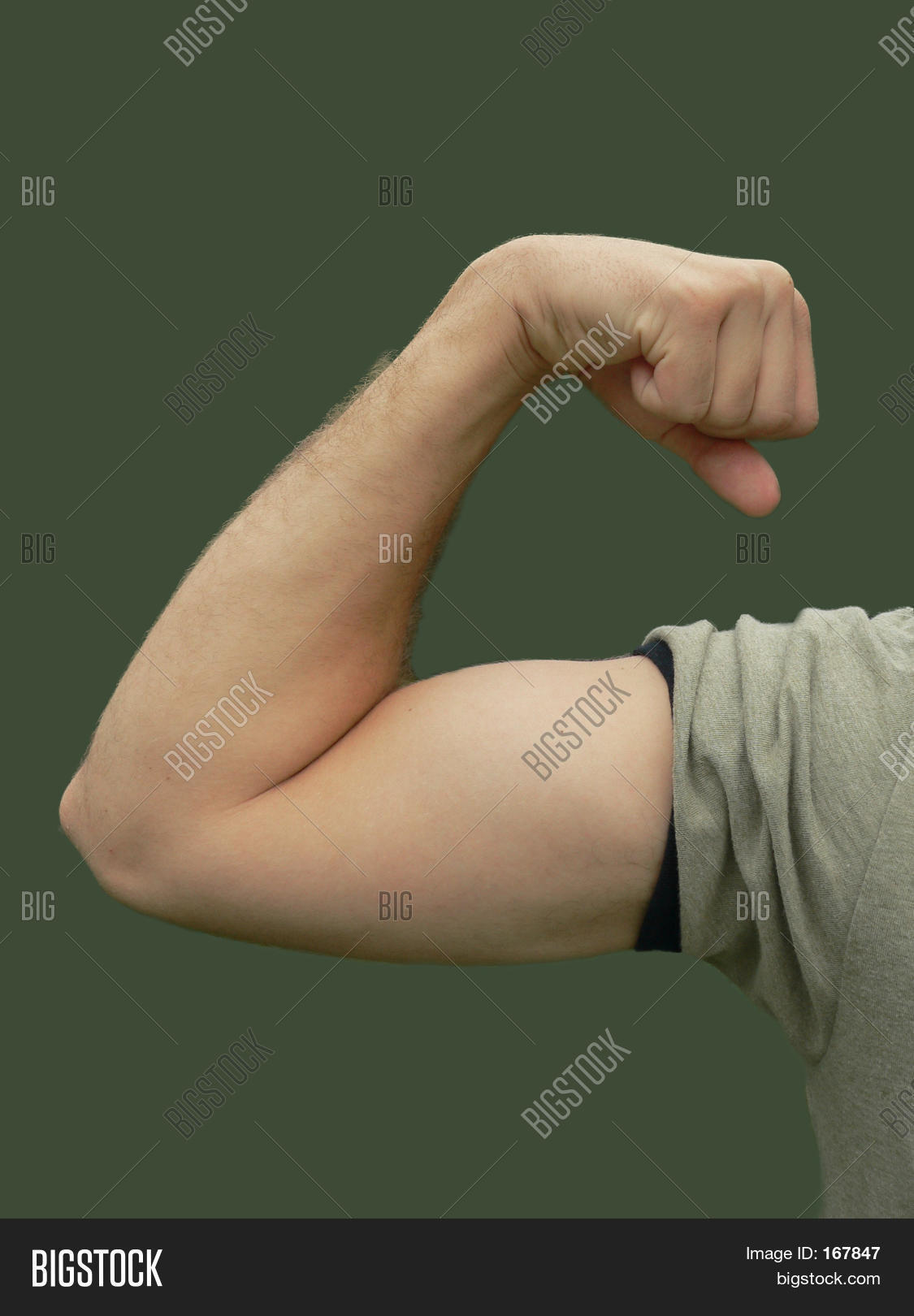 Bicep Image & Photo (Free Trial) | Bigstock