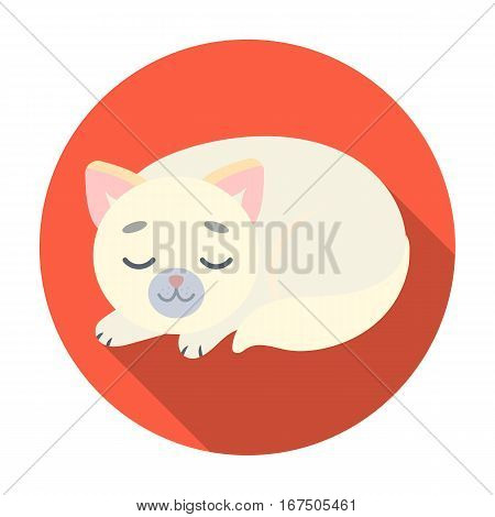 Sleeping Cat Icon Vector & Photo (Free Trial) | Bigstock