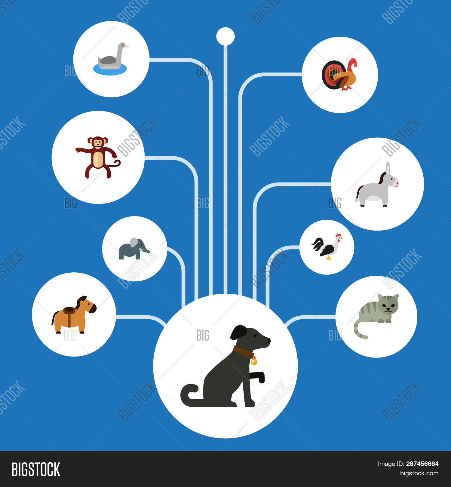 Set Zoology Icons Flat Image & Photo (Free Trial) | Bigstock