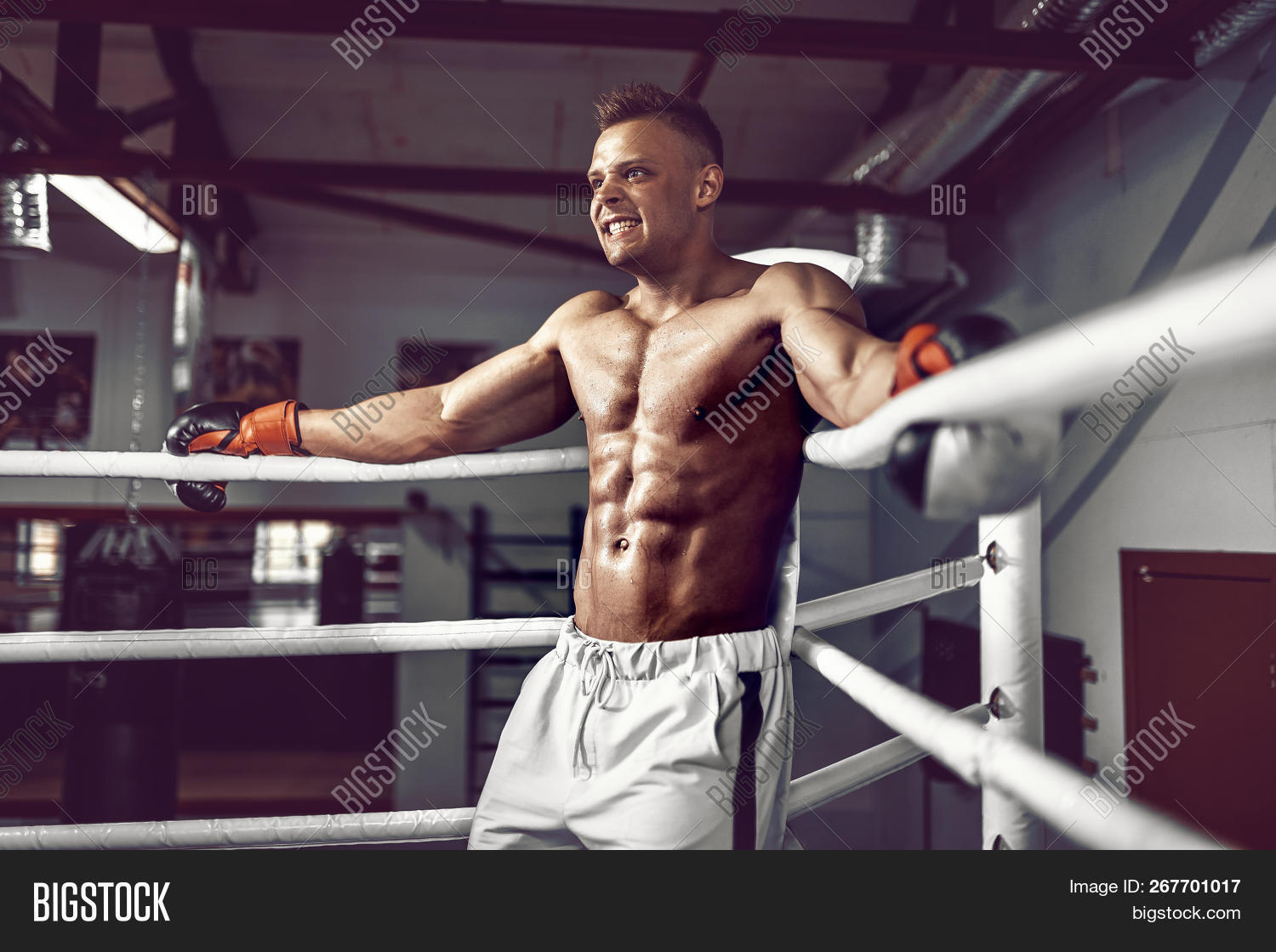 Muscular Professional Image & Photo (Free Trial) | Bigstock