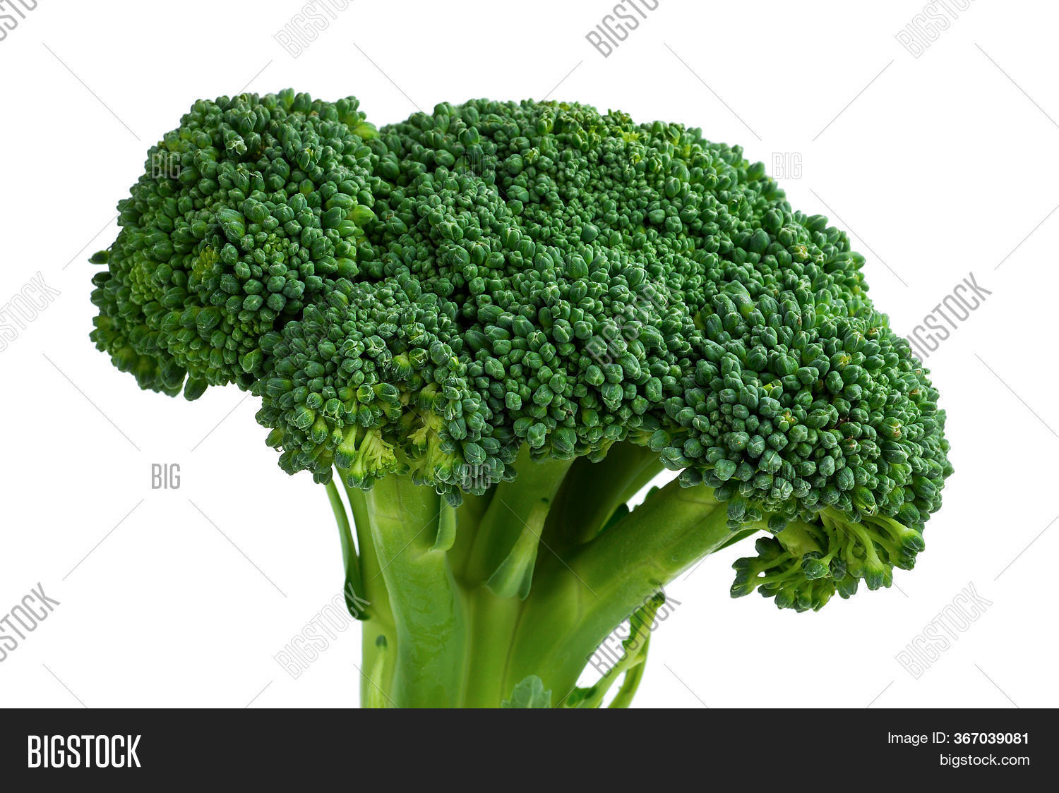 Close- Image Broccoli Image & Photo (Free Trial) | Bigstock