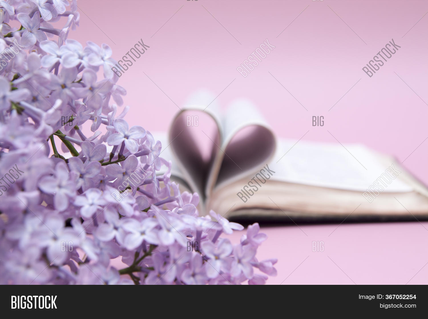 Close Lilac Flowers On Image & Photo (Free Trial) | Bigstock
