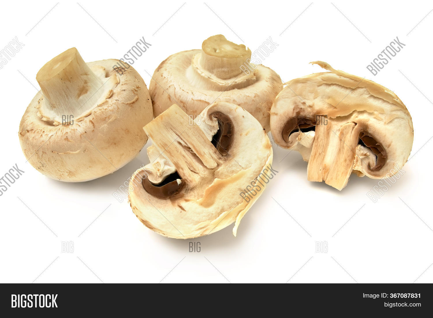 Fresh Champignon Image & Photo (Free Trial) | Bigstock