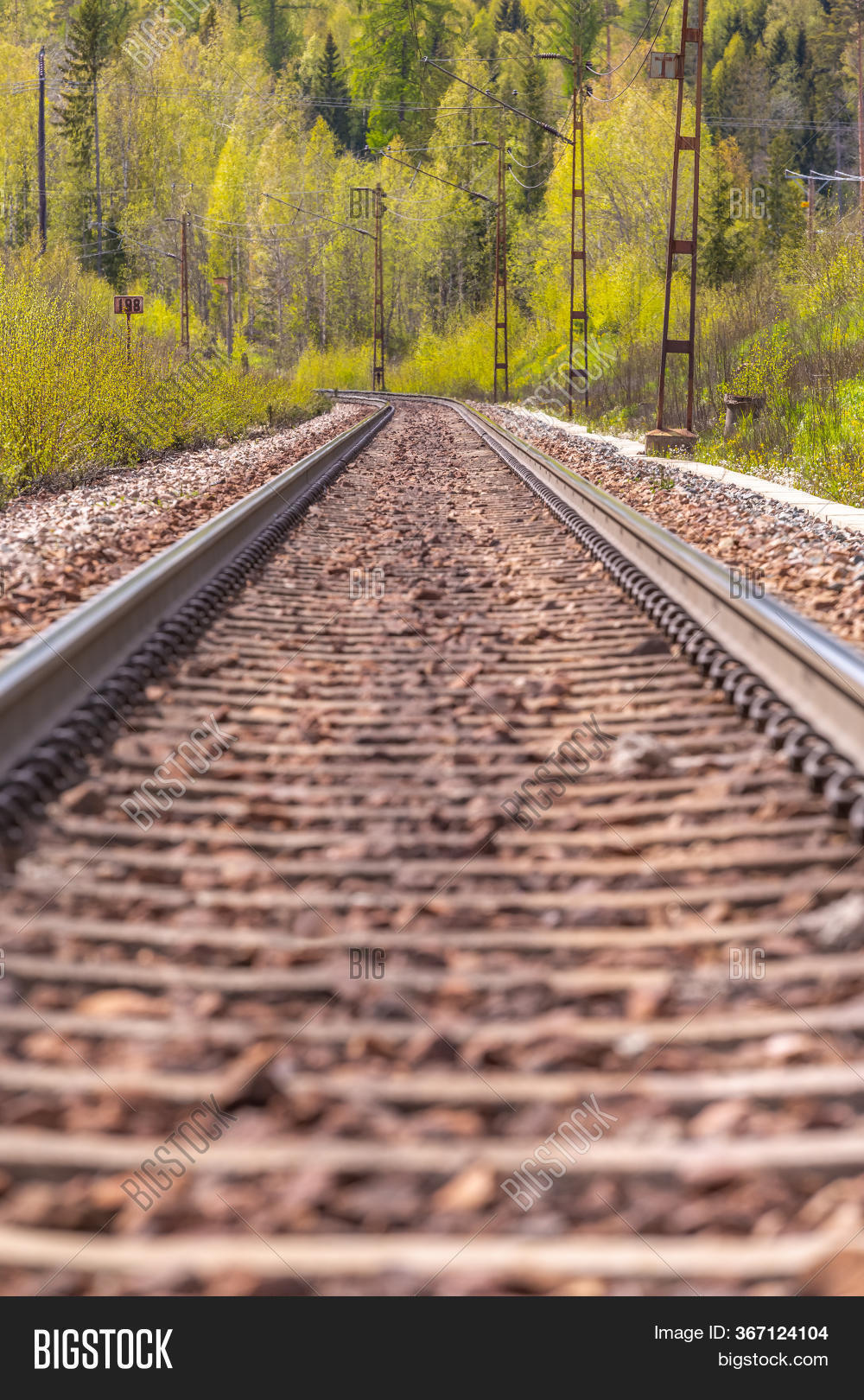 Railroad Track Between Image & Photo (Free Trial) | Bigstock