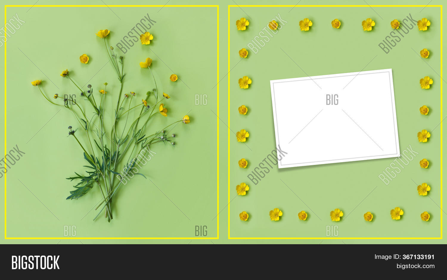 Beautiful Delicate Image & Photo (Free Trial) | Bigstock