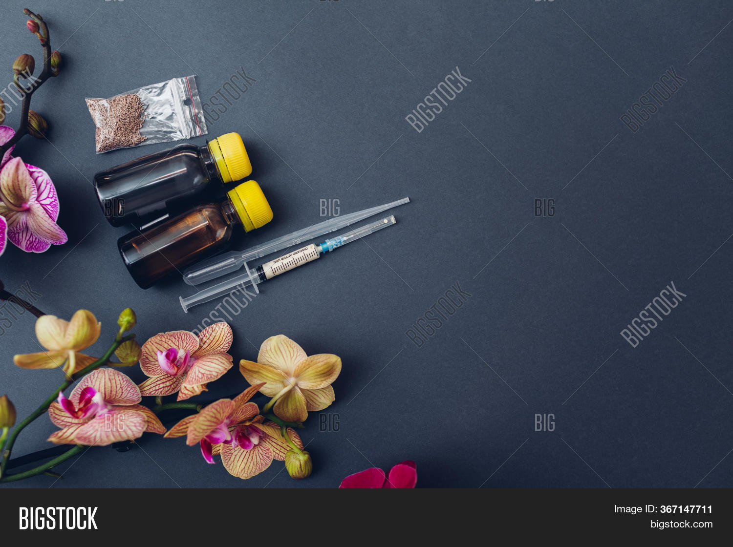 Orchid Care Medicine Image & Photo (Free Trial) | Bigstock