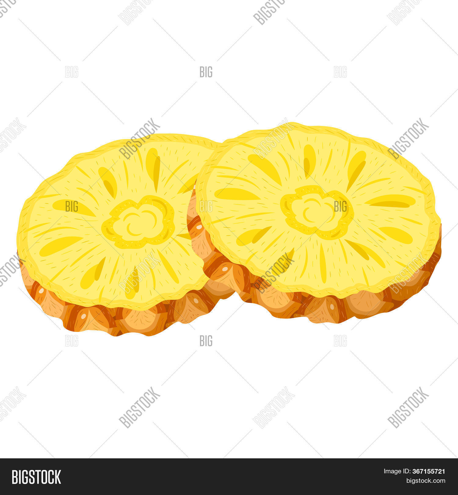 Fresh Cut Slice Rings Image & Photo (Free Trial) | Bigstock