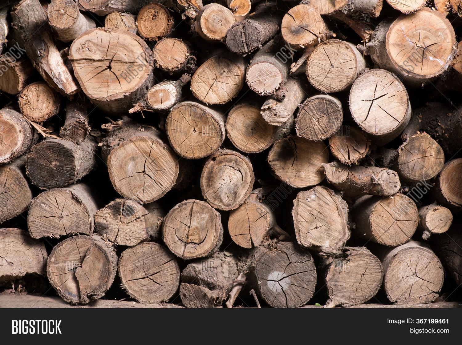 Texture Firewood. Image & Photo (Free Trial) | Bigstock