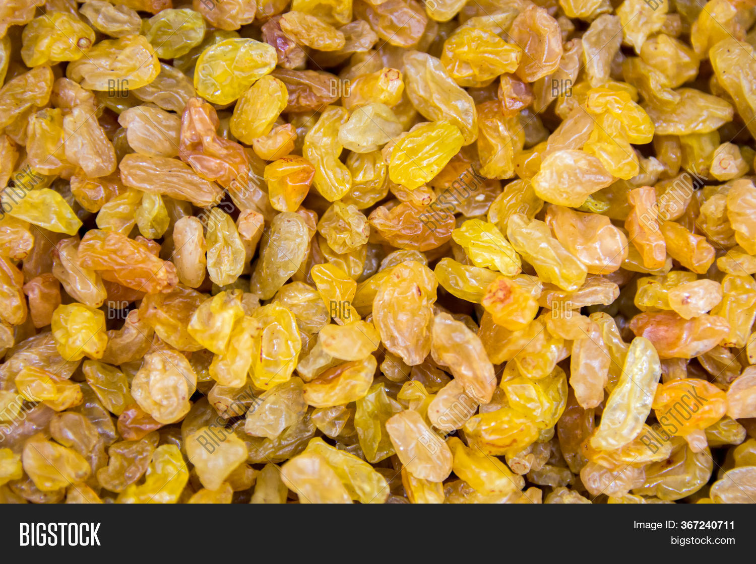 Golden Raisins Image & Photo (Free Trial) | Bigstock