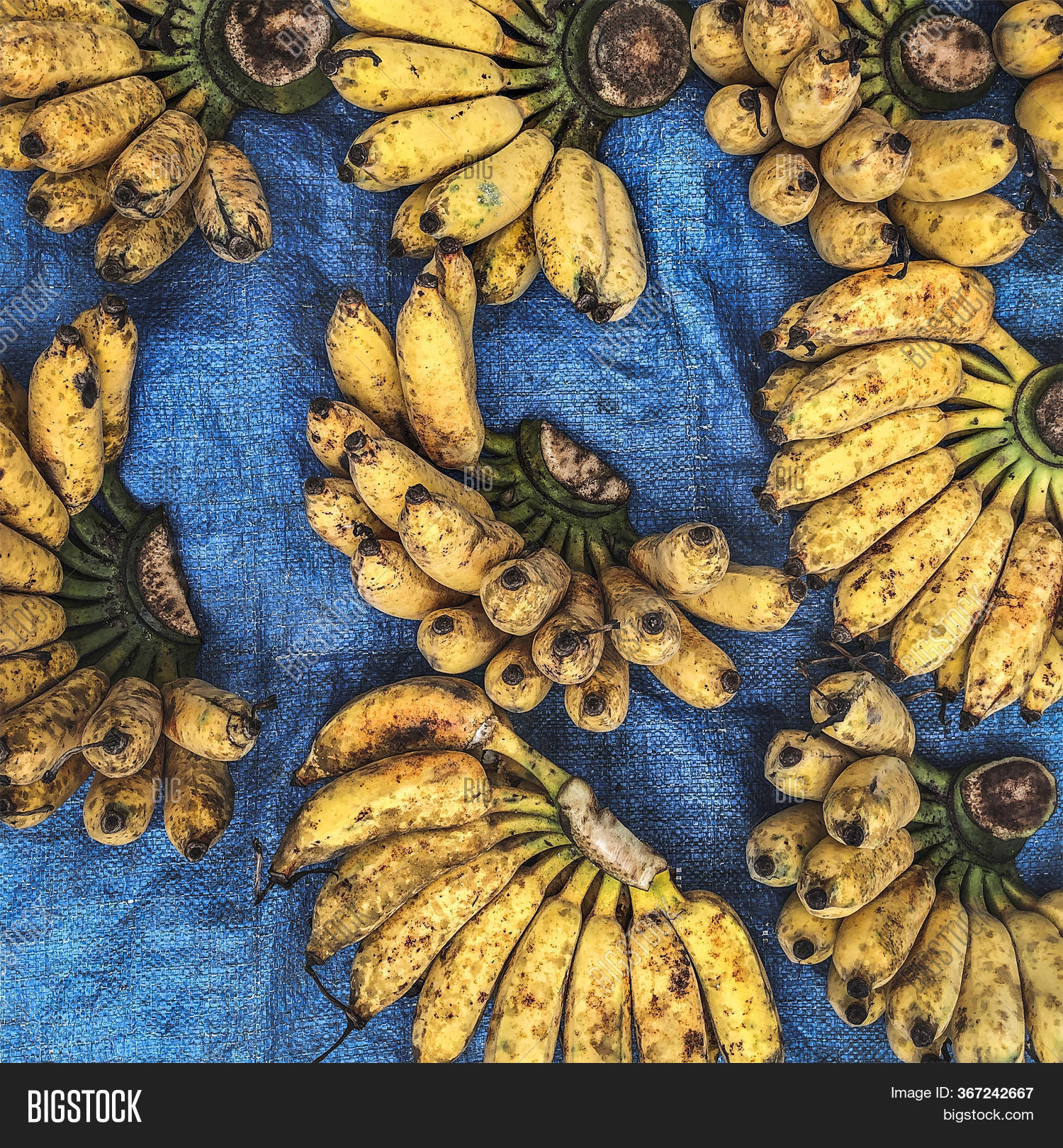 Top View On Banana Image & Photo (Free Trial) | Bigstock