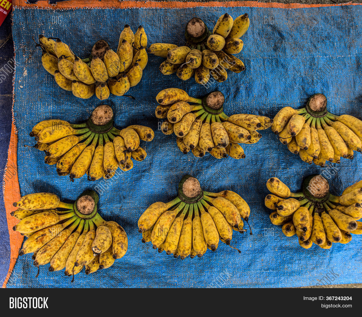 Top View On Banana Image & Photo (Free Trial) | Bigstock