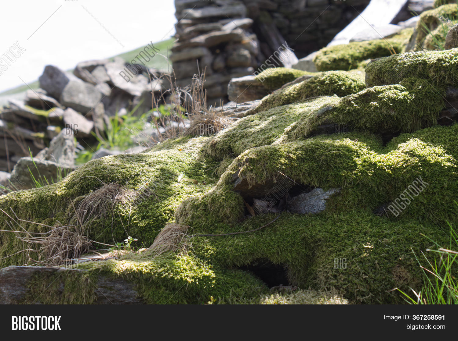 Stone Ruins Moss Image & Photo (Free Trial) | Bigstock