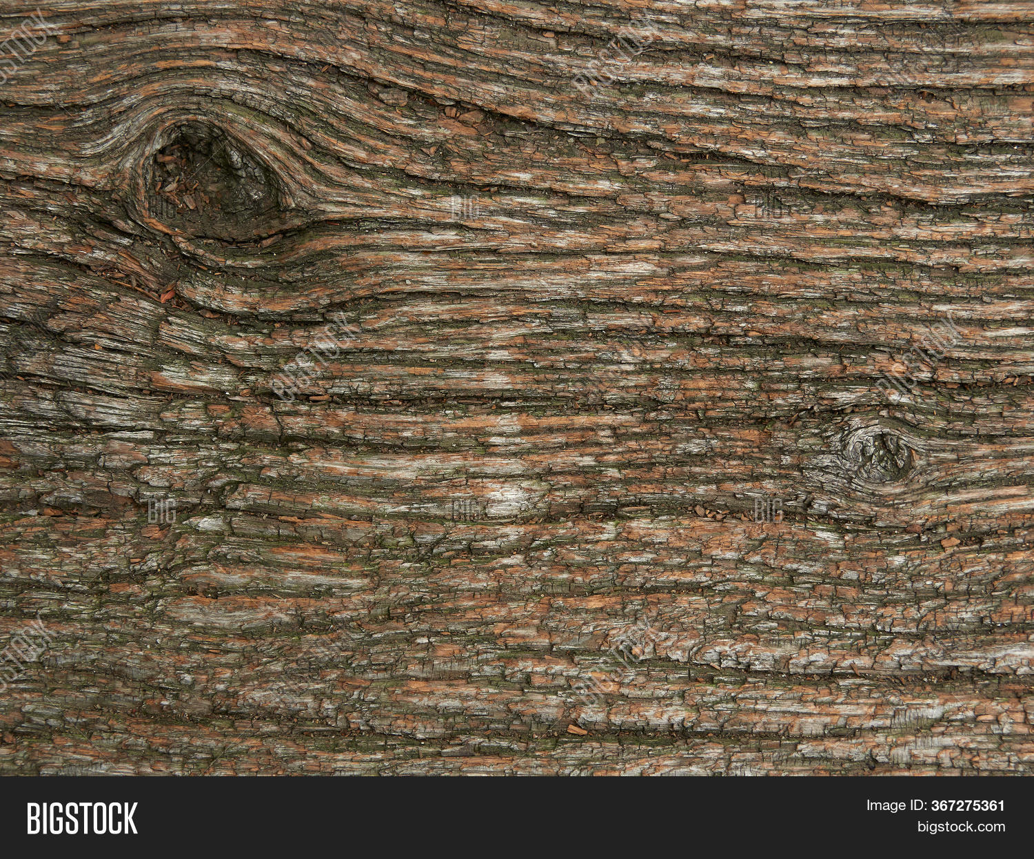 Weather Worn Wood Bark Image & Photo (Free Trial) | Bigstock