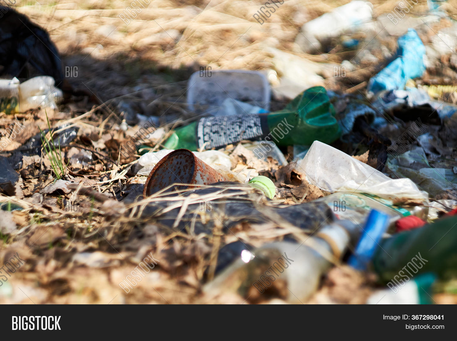 Garbage Lying Forest. Image & Photo (Free Trial) | Bigstock