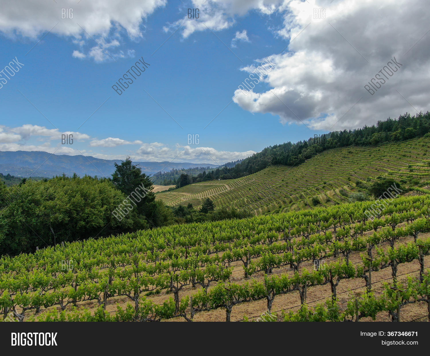 Aerial View Napa Image & Photo (Free Trial) | Bigstock