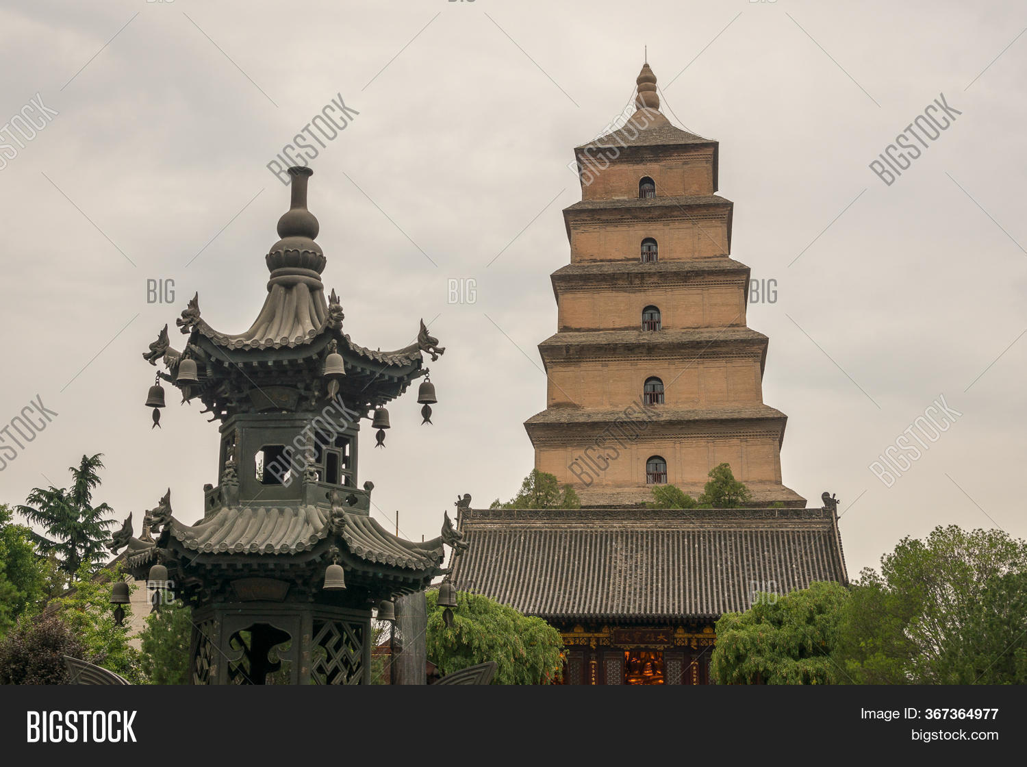 Giant Wild Goose Image & Photo (Free Trial) | Bigstock