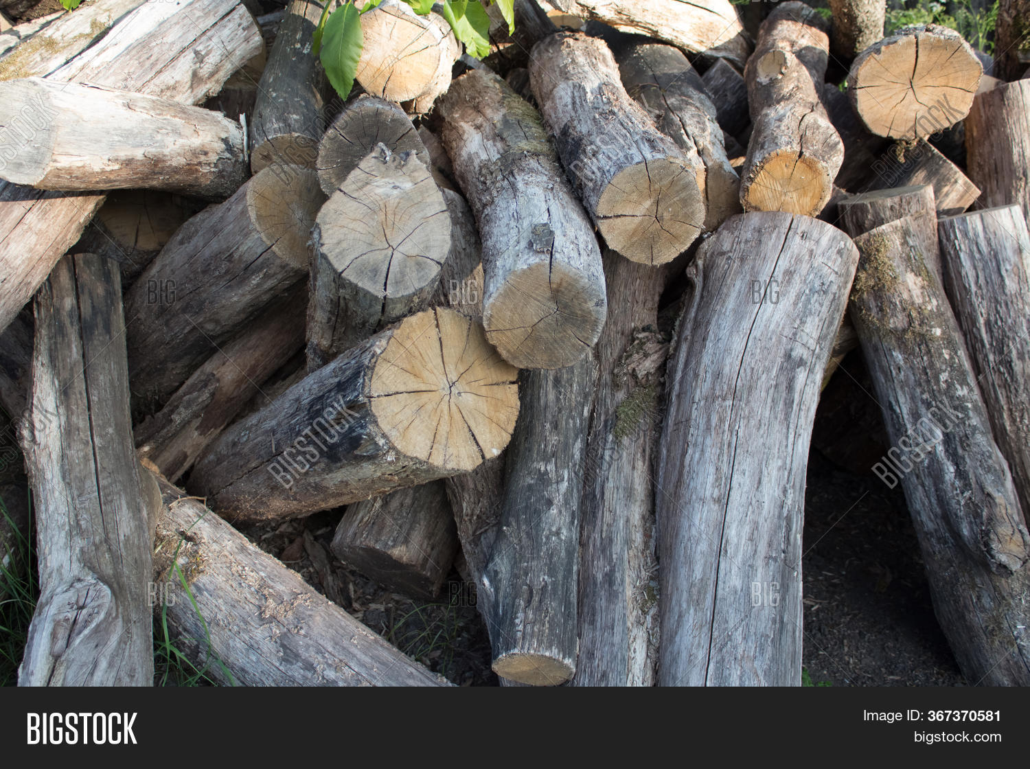 Pile Logs Close- Image & Photo (Free Trial) | Bigstock