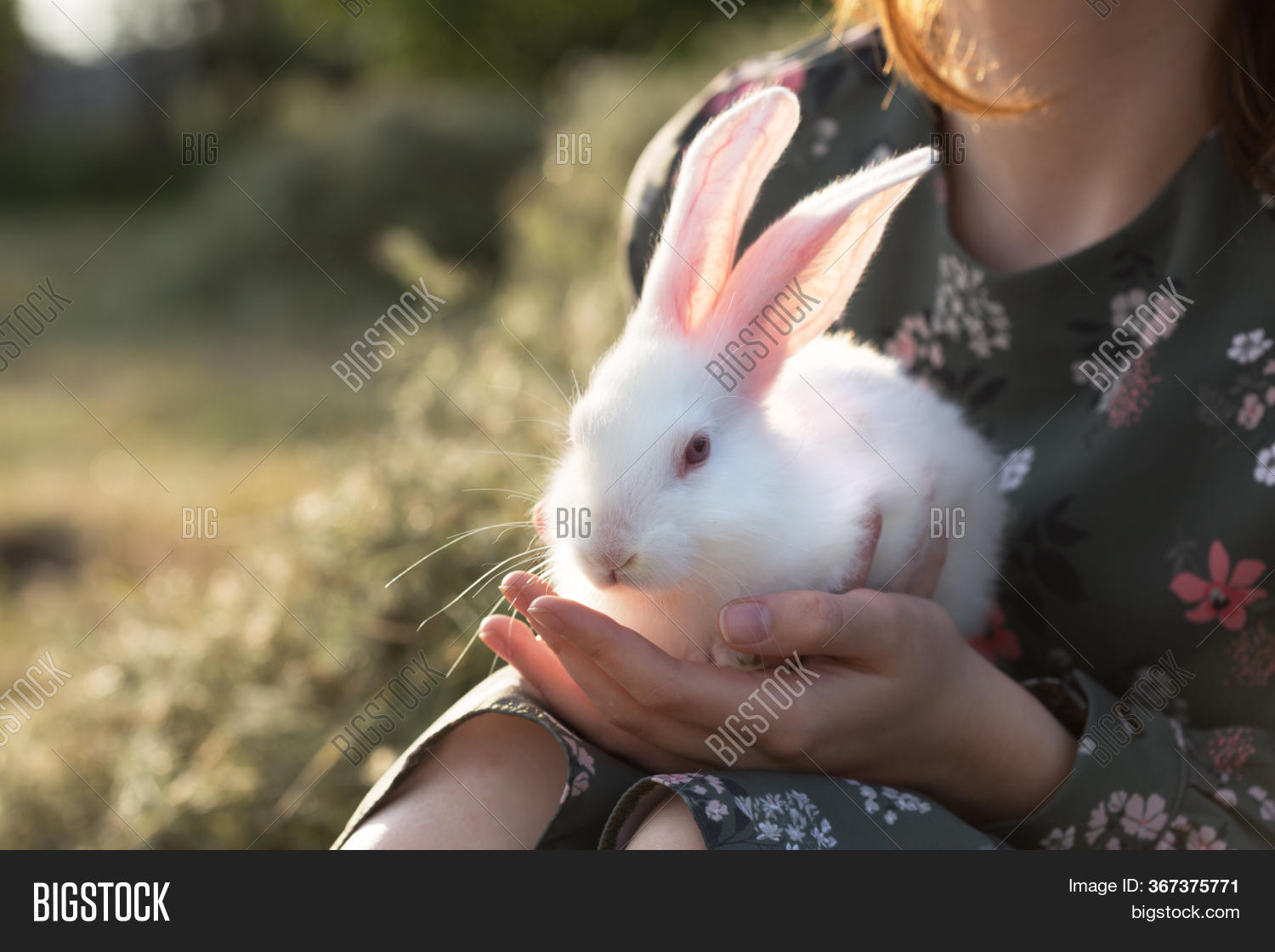 Girl Rabbit Image & Photo (Free Trial) | Bigstock