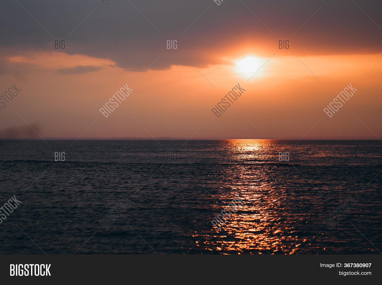 Beautiful Orange Image & Photo (Free Trial) | Bigstock