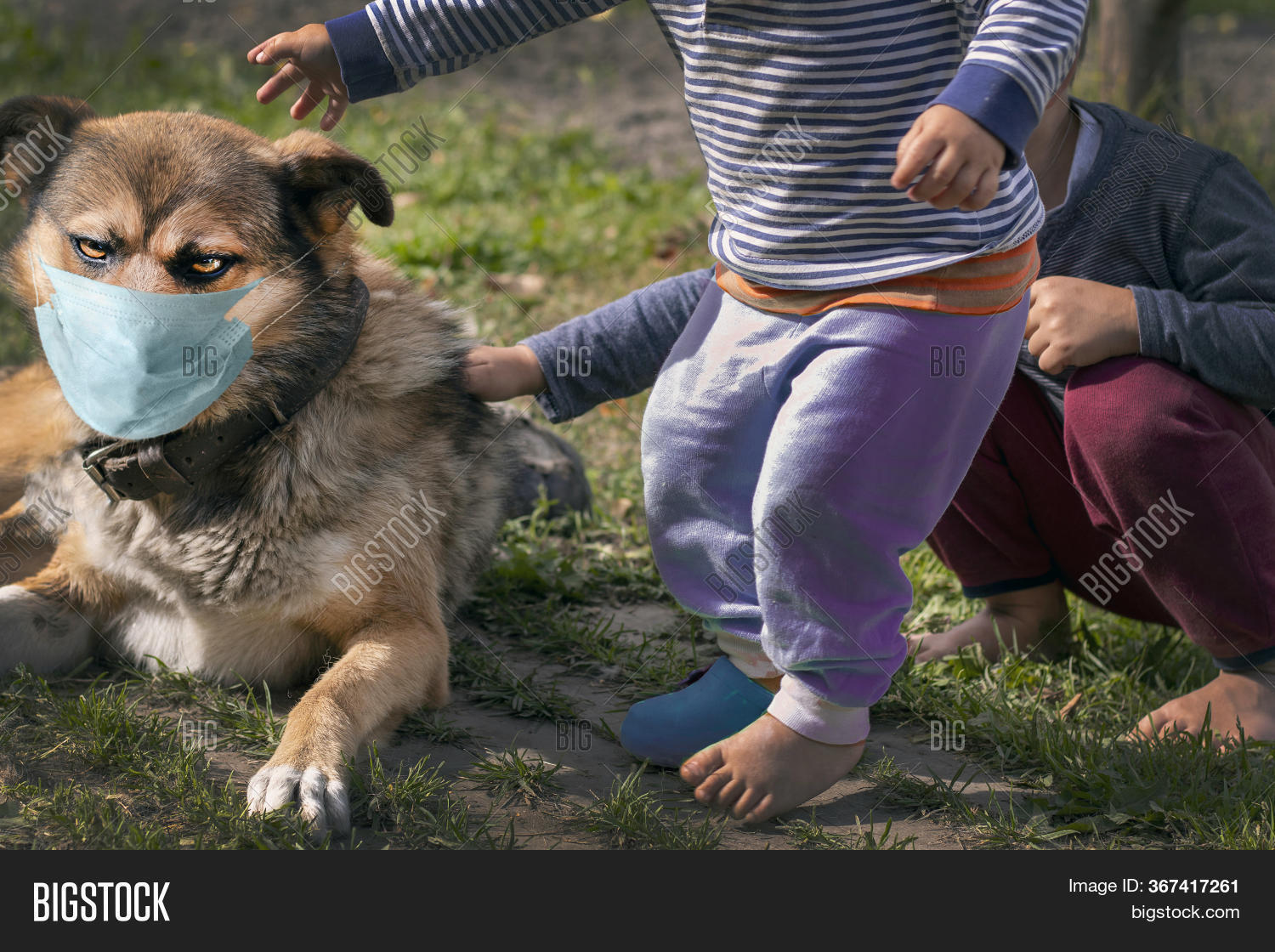 Angry Dog Image & Photo (Free Trial) | Bigstock