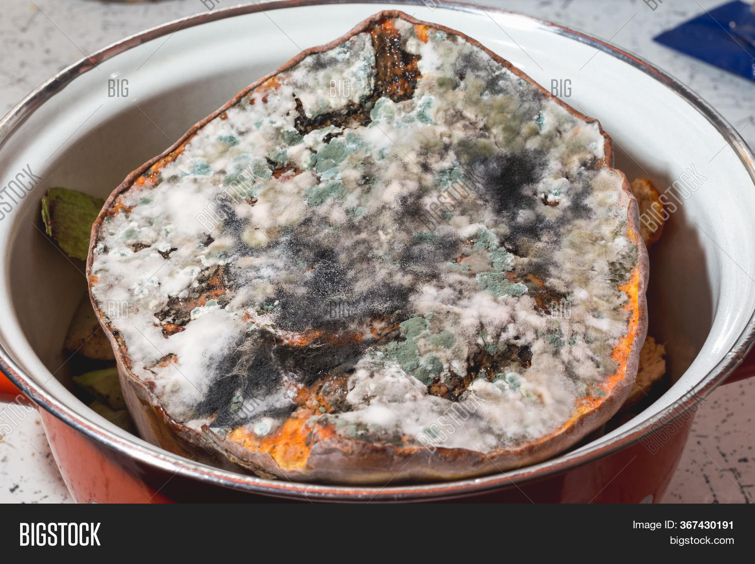 Moldy Pumpkin Pan. Image & Photo (Free Trial) | Bigstock