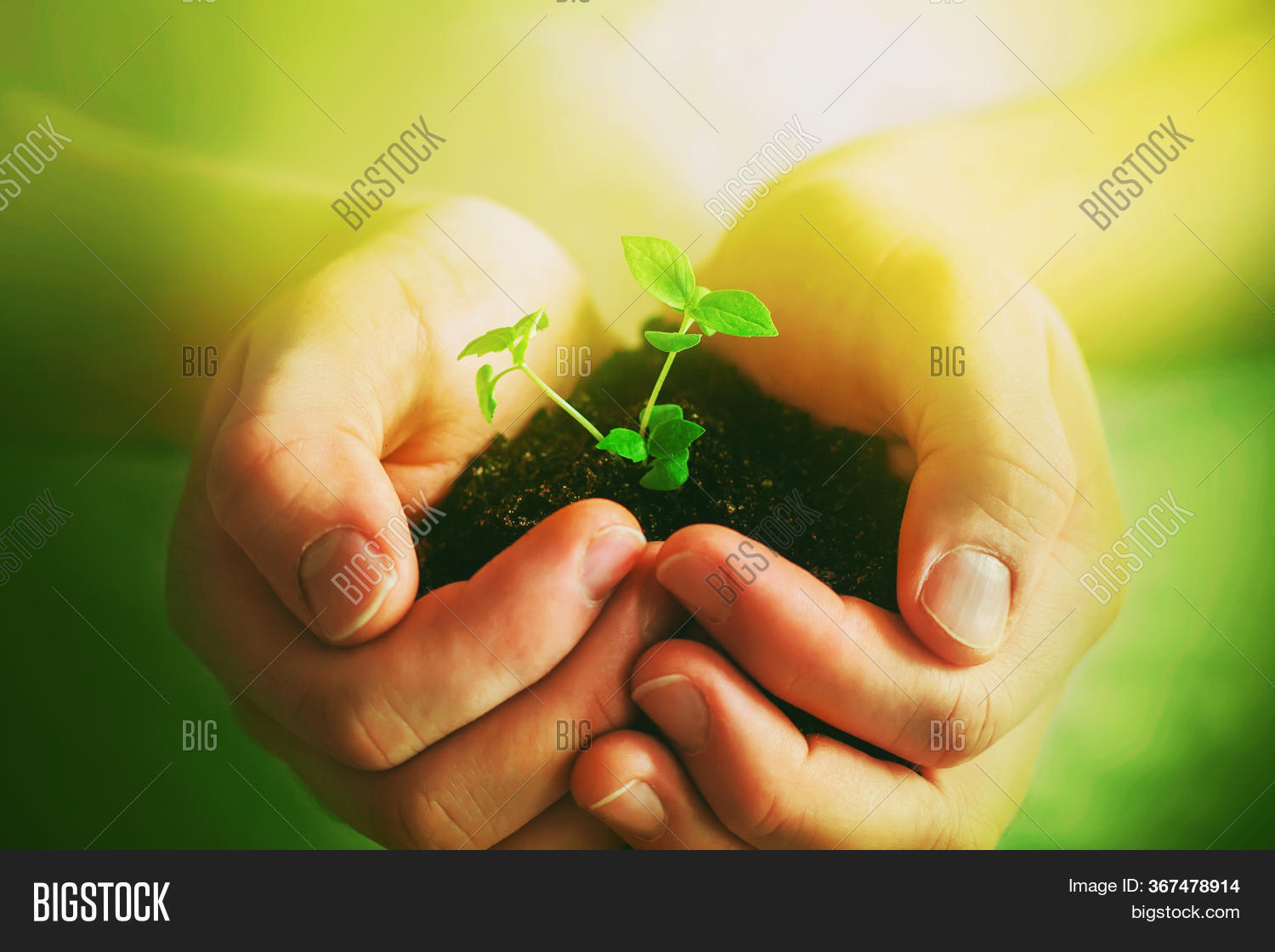Strong Human Hands Image & Photo (Free Trial) | Bigstock