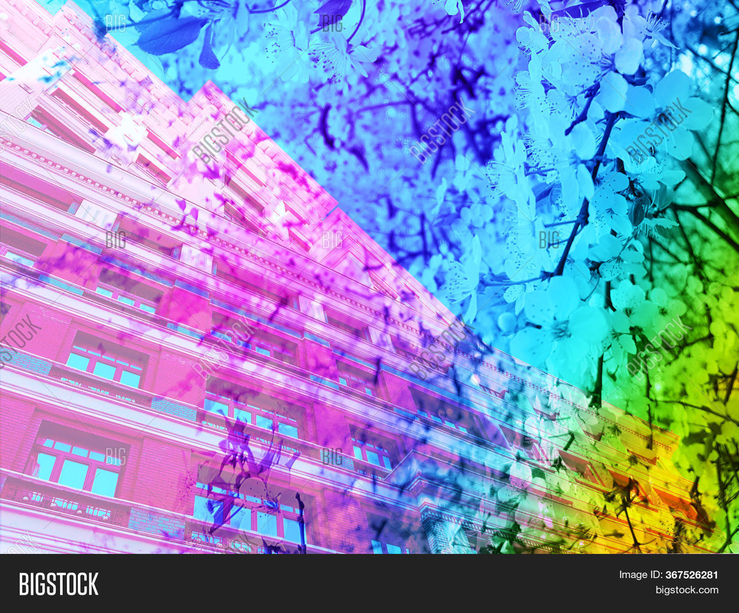 Contemporary Collage. Image & Photo (Free Trial) | Bigstock