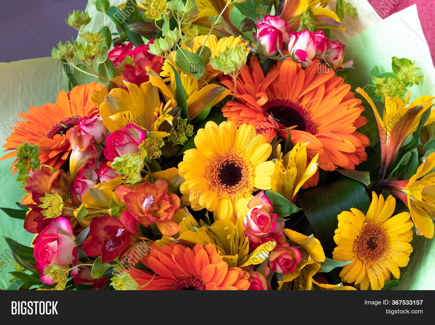 Bright Yellow Gerbera Image & Photo (Free Trial) | Bigstock