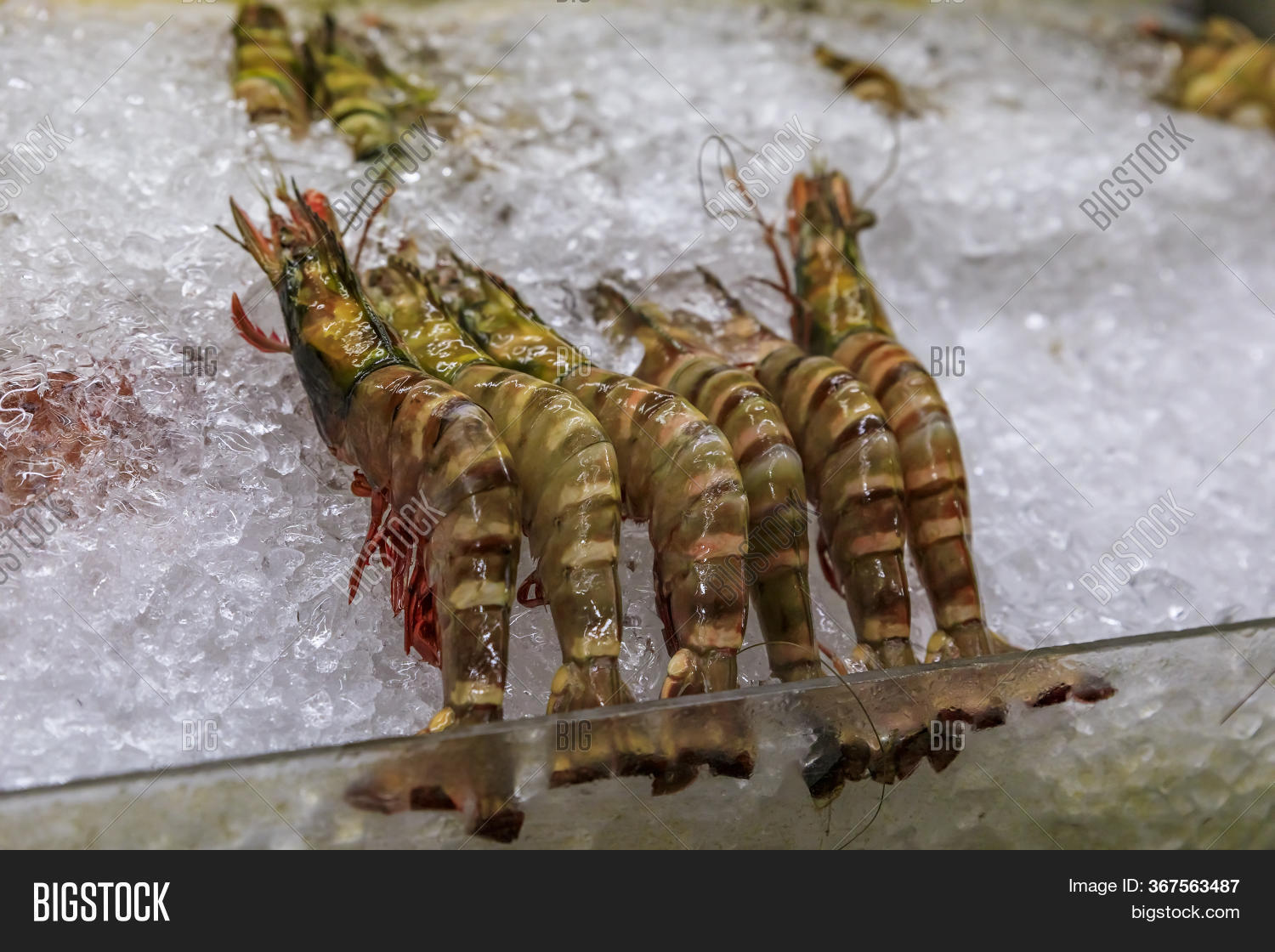 Fresh Large Prawn Image & Photo (Free Trial) | Bigstock