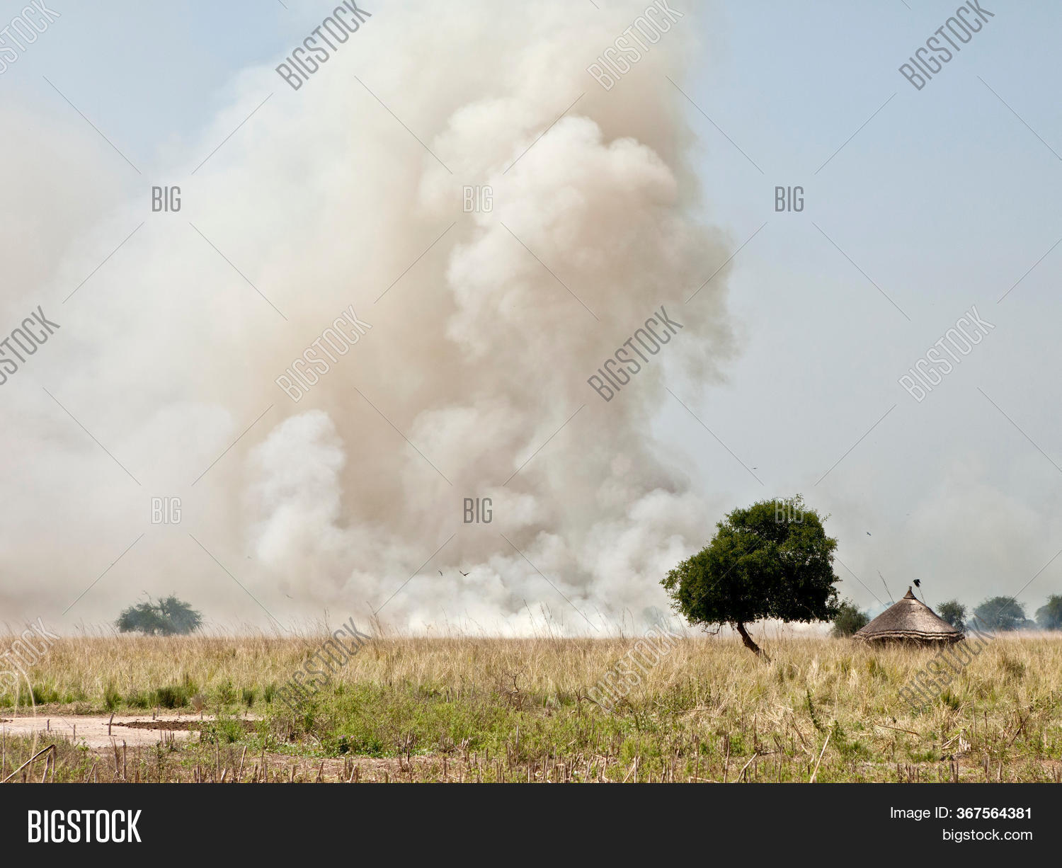 Smoke Rises Into Sky Image & Photo (Free Trial) | Bigstock