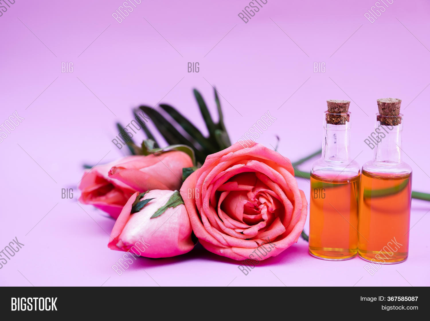 Essential Oil, Rose Image & Photo (Free Trial) | Bigstock