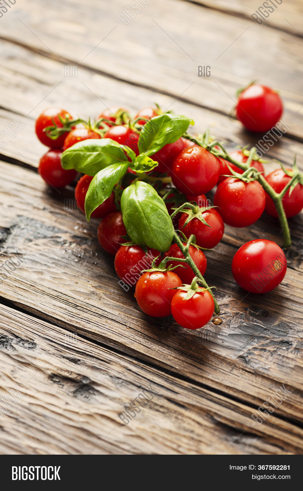 Fresh Small Tomatoes Image & Photo (Free Trial) | Bigstock