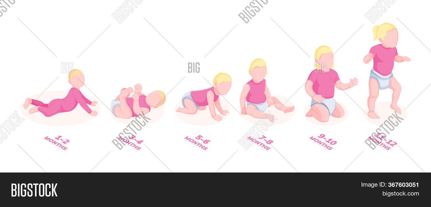 First Year Timeline Image & Photo (Free Trial) | Bigstock