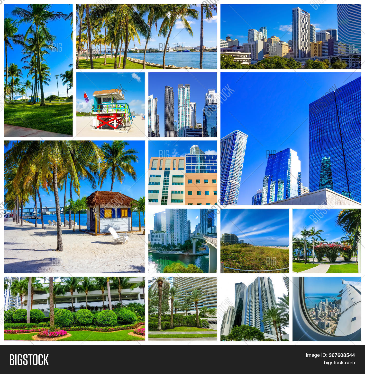 Collage About Miami, Image & Photo (Free Trial) | Bigstock