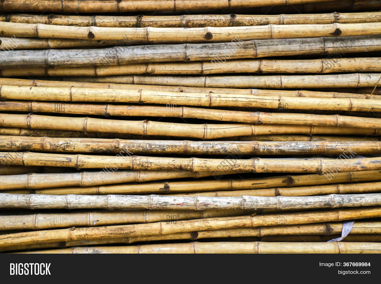 Lots Bamboo Desktop Image & Photo (Free Trial) | Bigstock