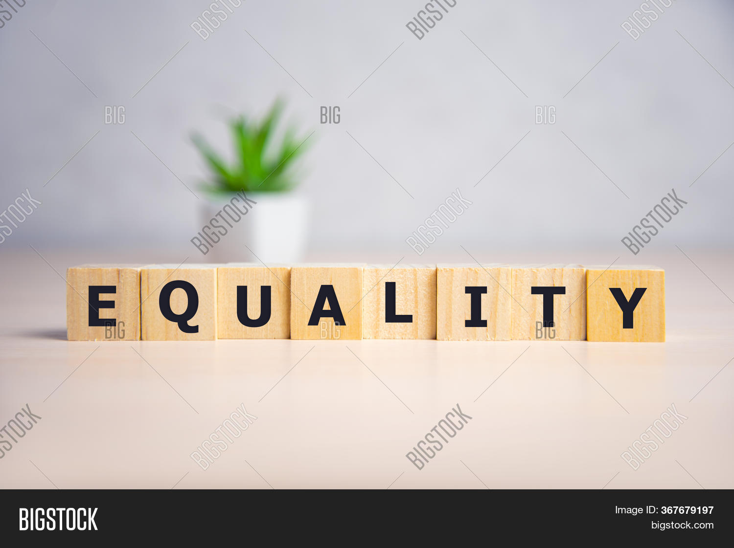 Equality Word Made Image & Photo (Free Trial) | Bigstock