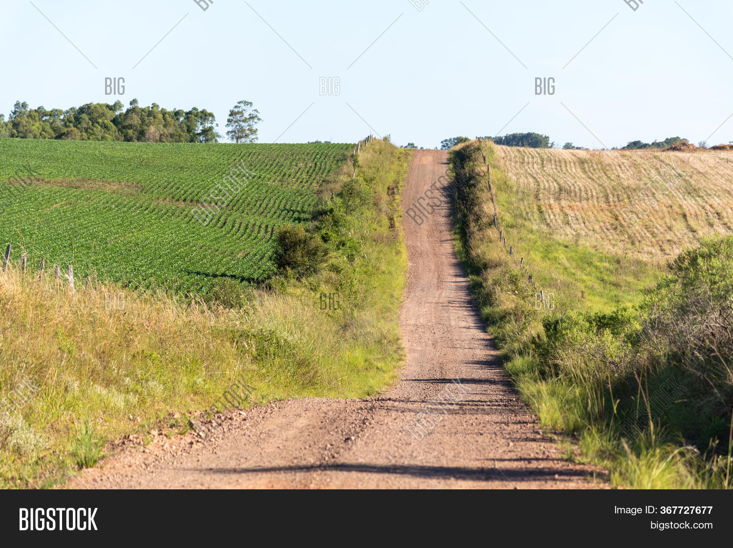 Farm Southern Brazil Image & Photo (Free Trial) | Bigstock