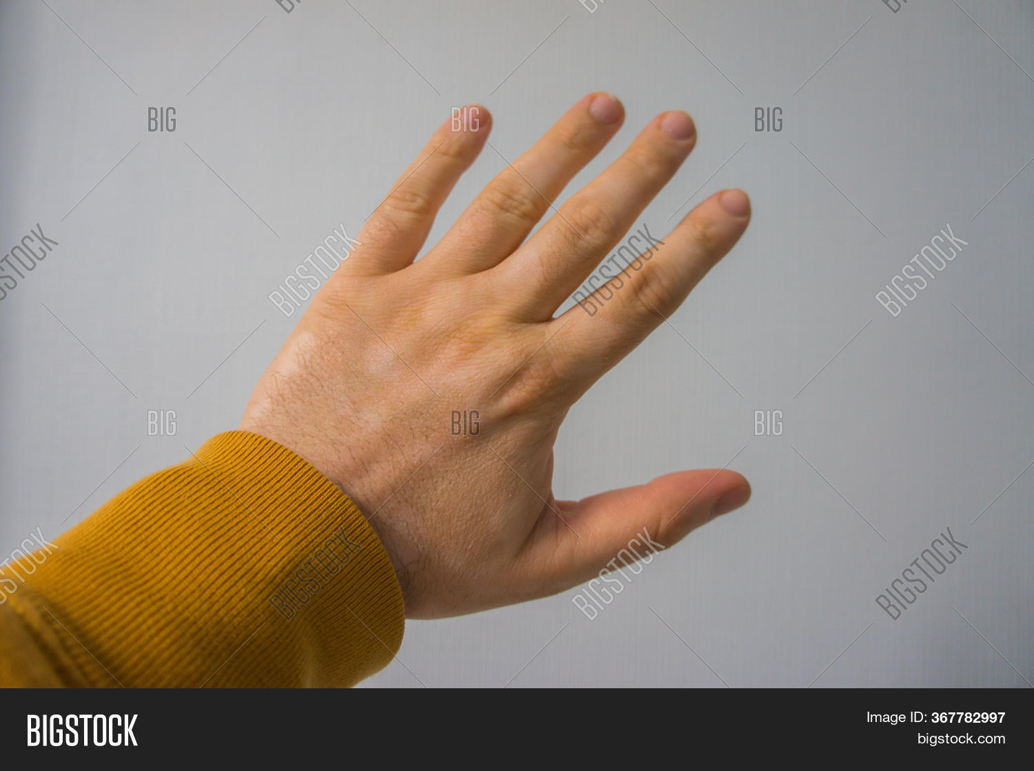 Caucasian Man's Hand Image & Photo (Free Trial) | Bigstock
