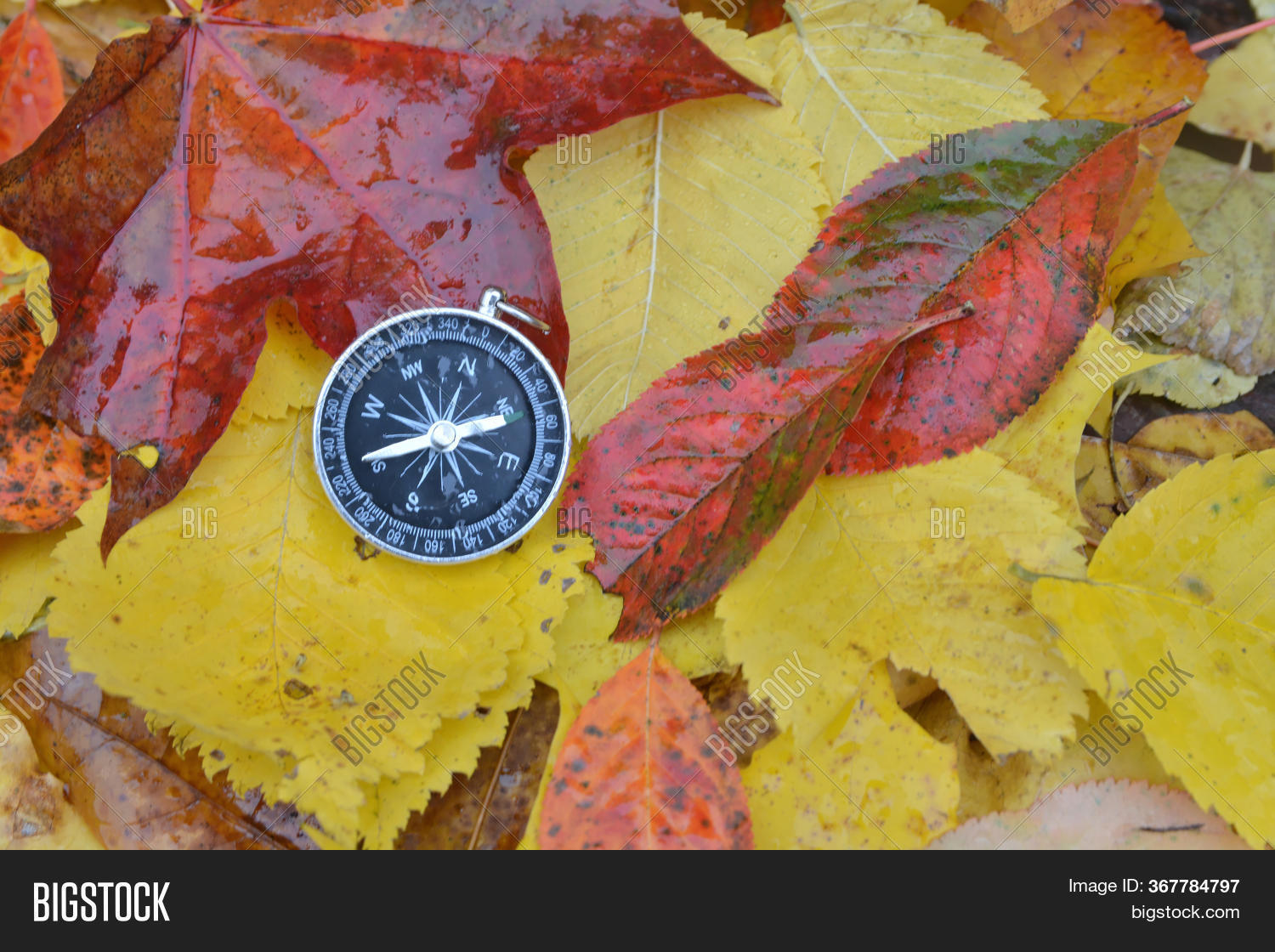 Compass Rain. Wet Image & Photo (Free Trial) | Bigstock