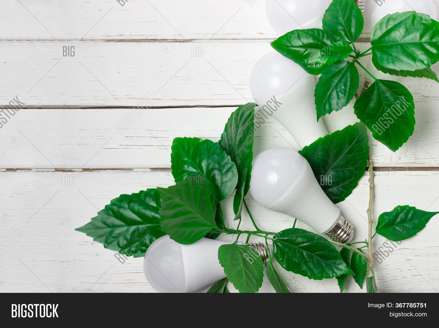 Energy Saving Light Image & Photo (Free Trial) | Bigstock