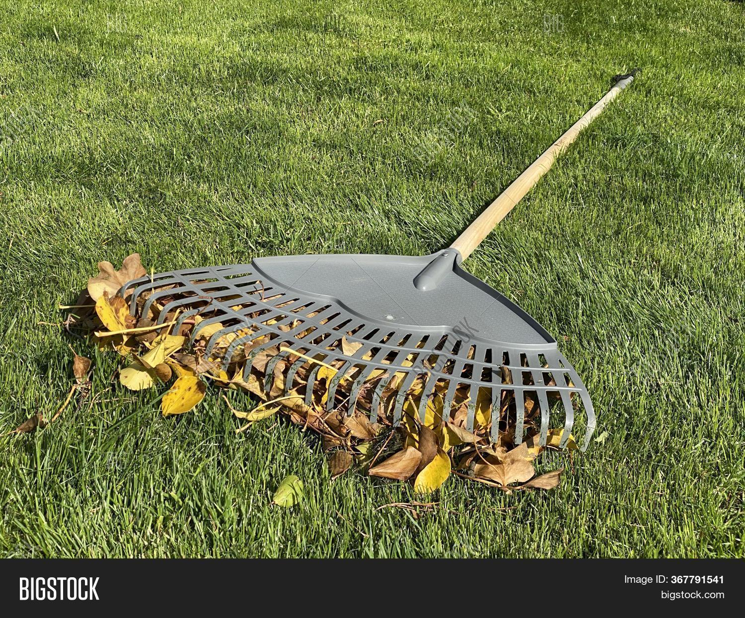 Garden Plastic Rake On Image & Photo (Free Trial) | Bigstock