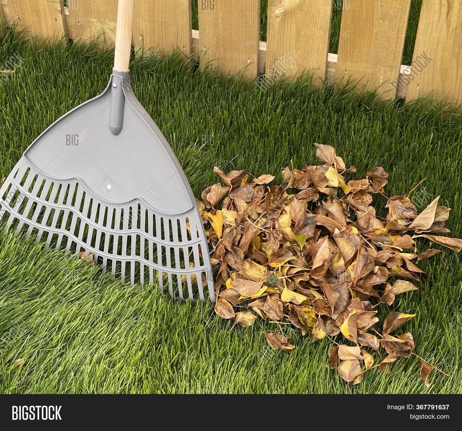 Garden Plastic Rake On Image & Photo (Free Trial) | Bigstock