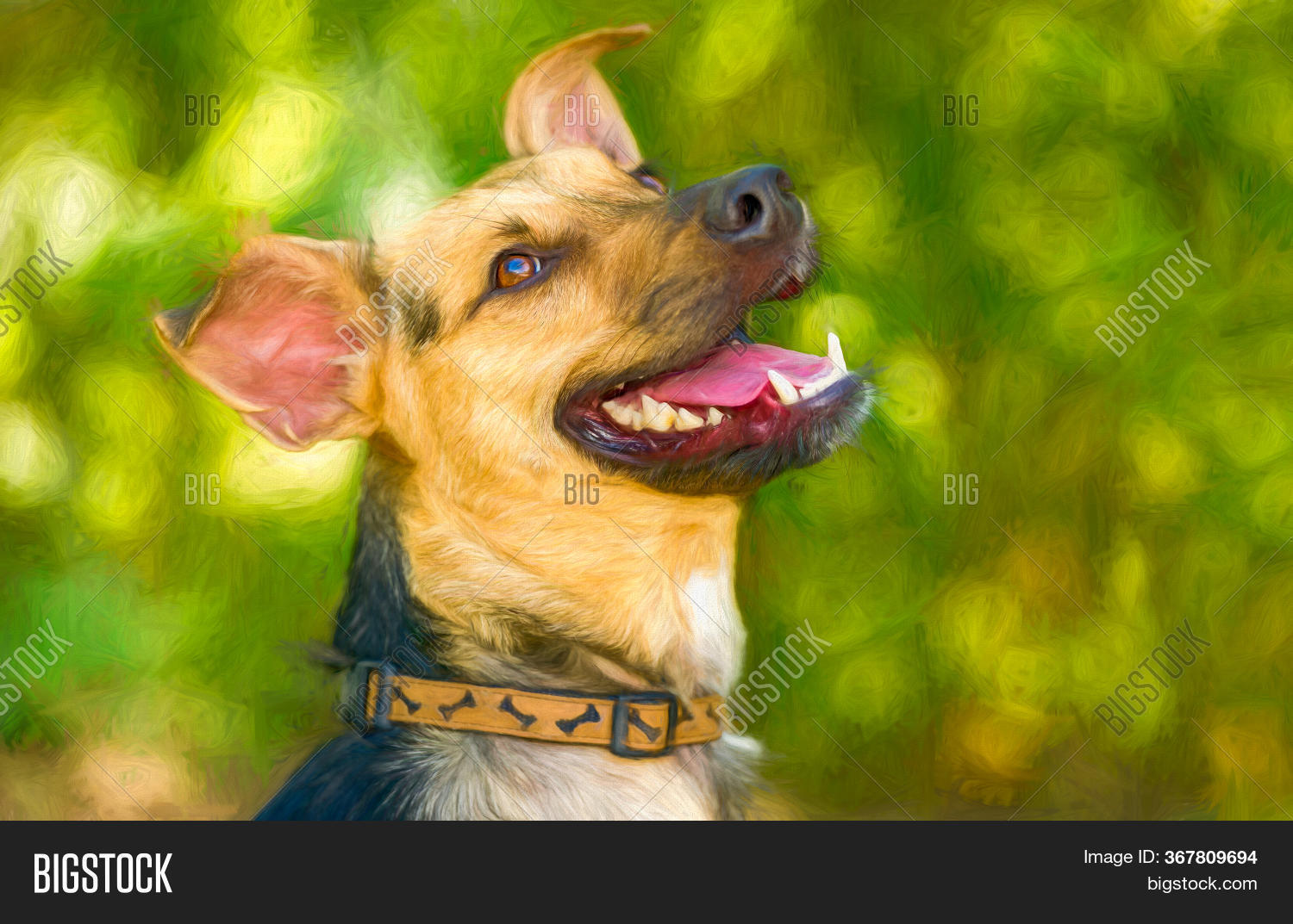 German Sheppard Dog Image & Photo (Free Trial) | Bigstock