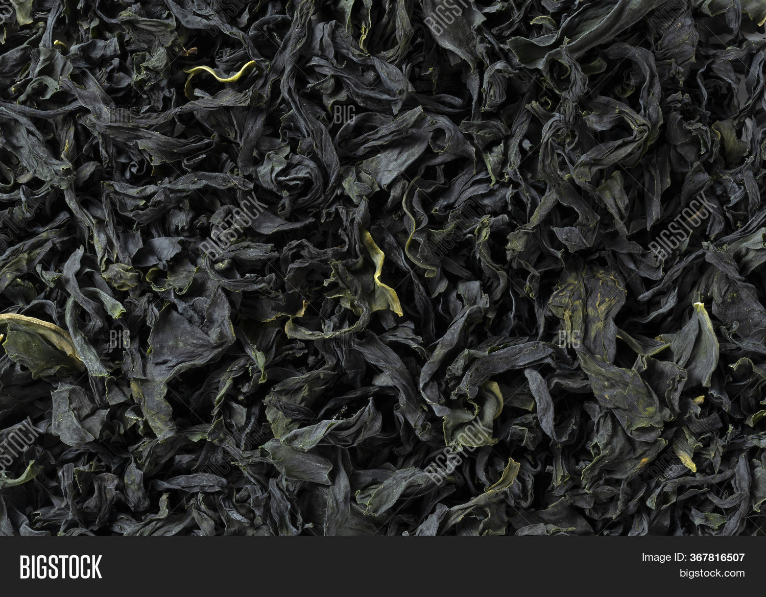 Dried Seaweed Image & Photo (Free Trial) | Bigstock