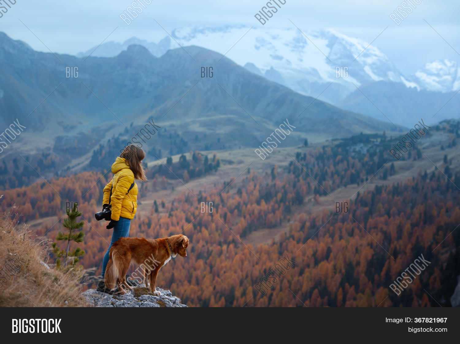 Girl Dog Mountains. Image & Photo (Free Trial) | Bigstock