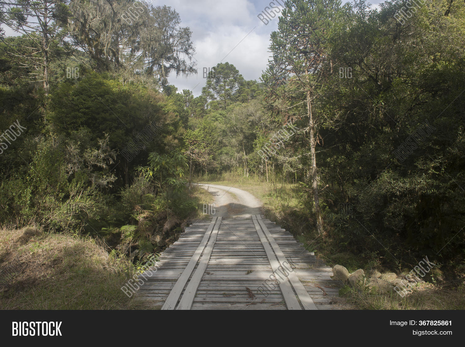 Wood Bridge Road That Image & Photo (Free Trial) | Bigstock